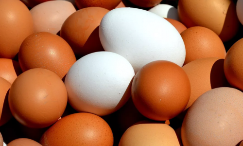 Новости :: :: InfoWorld